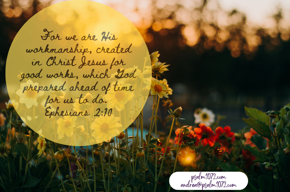 Know Your Role – The Fruitful Educator