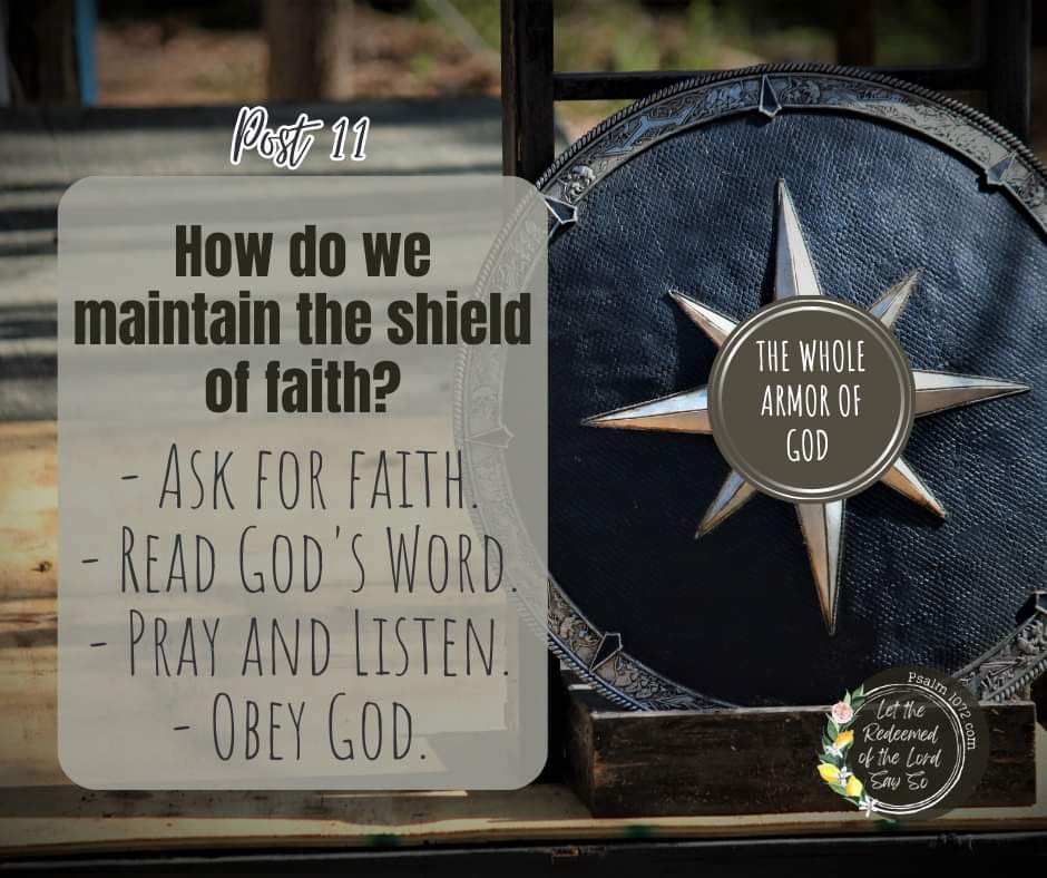 The Whole Armor of God – 11 – The Fruitful Educator