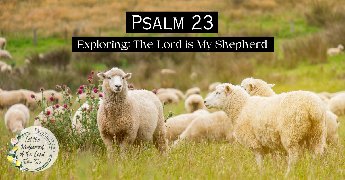 Psalm 23: Rod and Staff – The Fruitful Educator